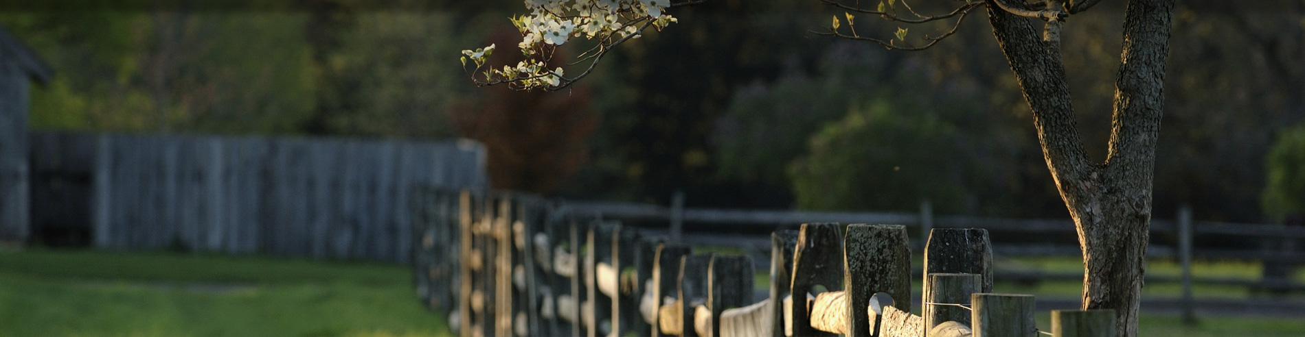 Divorce Lawyers | Criminal Defense & DUI Lawyers